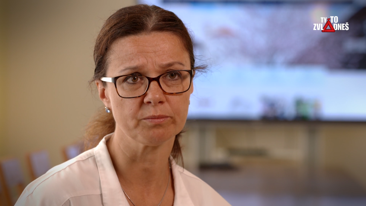 Rekonvalescence a rehabilitace po těžké dopravní nehodě | Stream